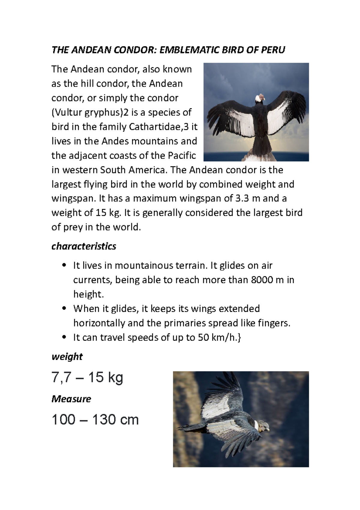 THE Andean Condor - por si necesitan - THE ANDEAN CONDOR: EMBLEMATIC ...