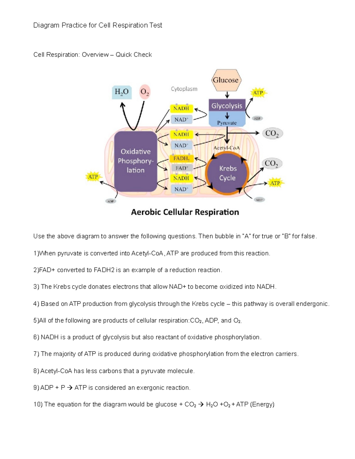 Diagram Practice for Cell Resp Test - Diagram Practice for Cell ...