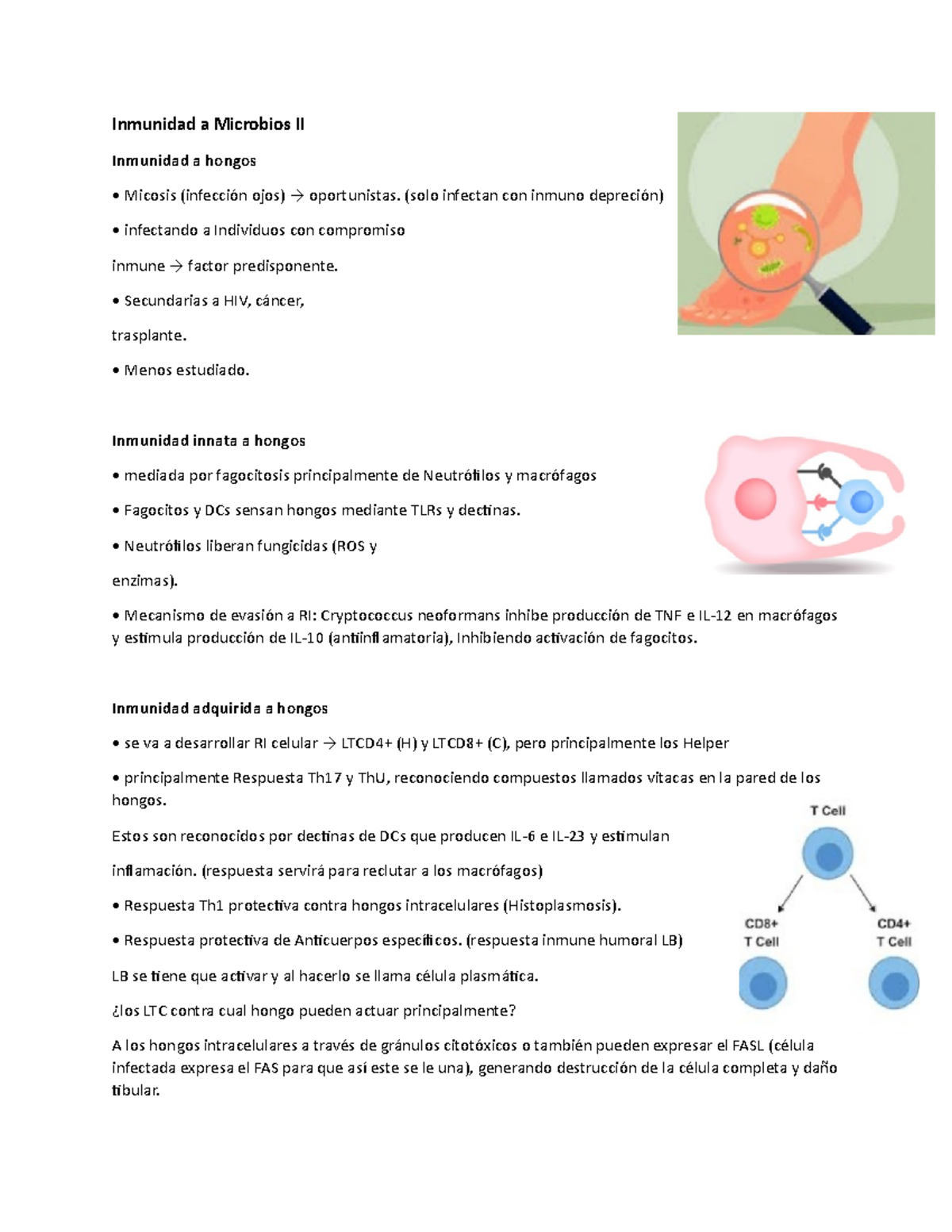Inmunidad contra hongos, virus y parásitos - Inmunidad a Microbios II Inmunidad a hongos Micosis ...