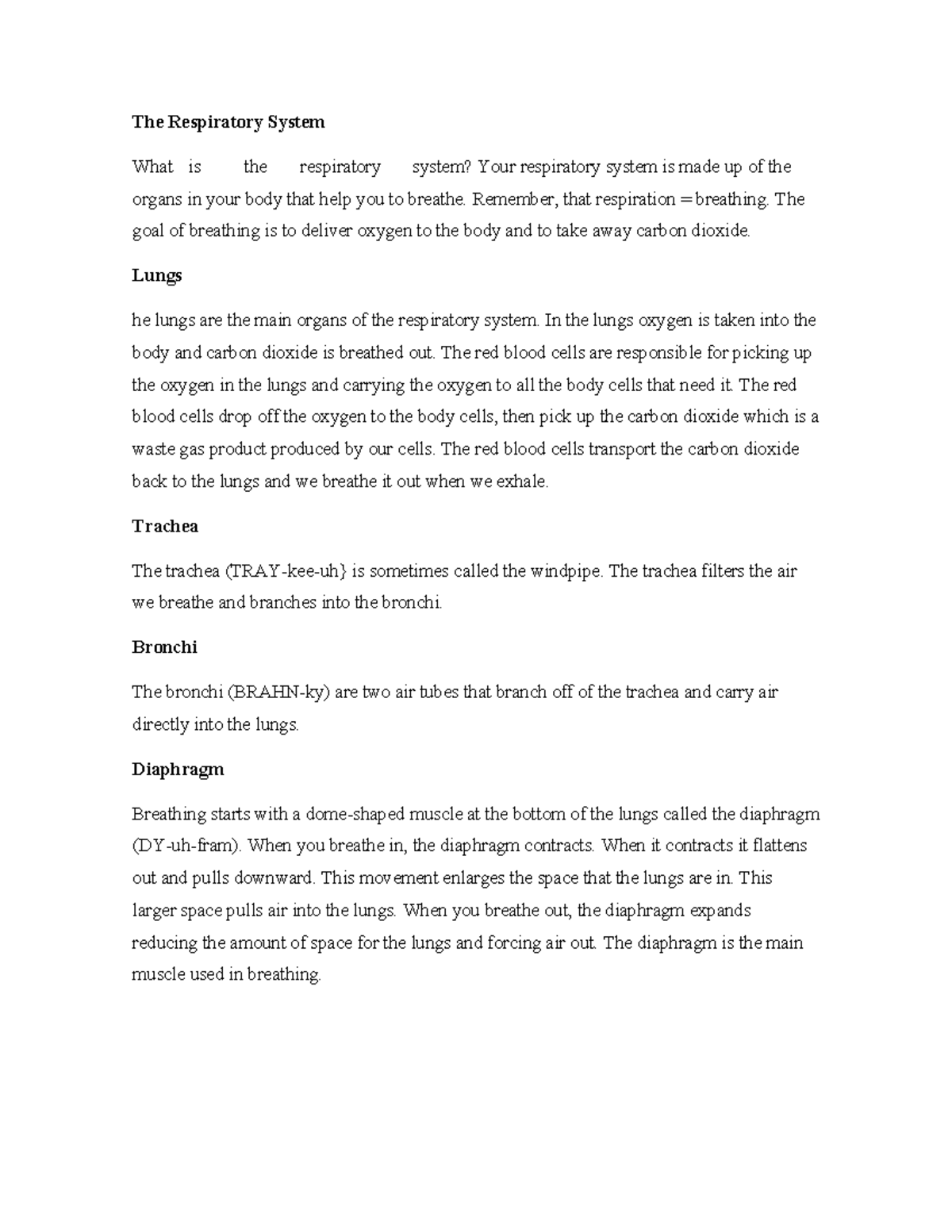 The Respiratory System - The Respiratory System What is the respiratory ...