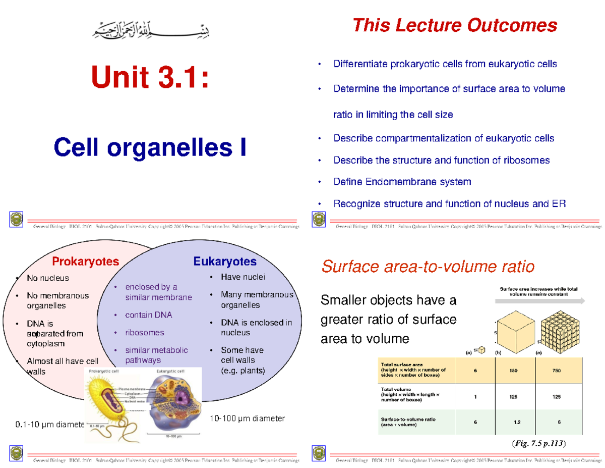 3 - good - Unit 3: Cell organelles I • Differentiate prokaryotic cells from eukaryotic cells ...