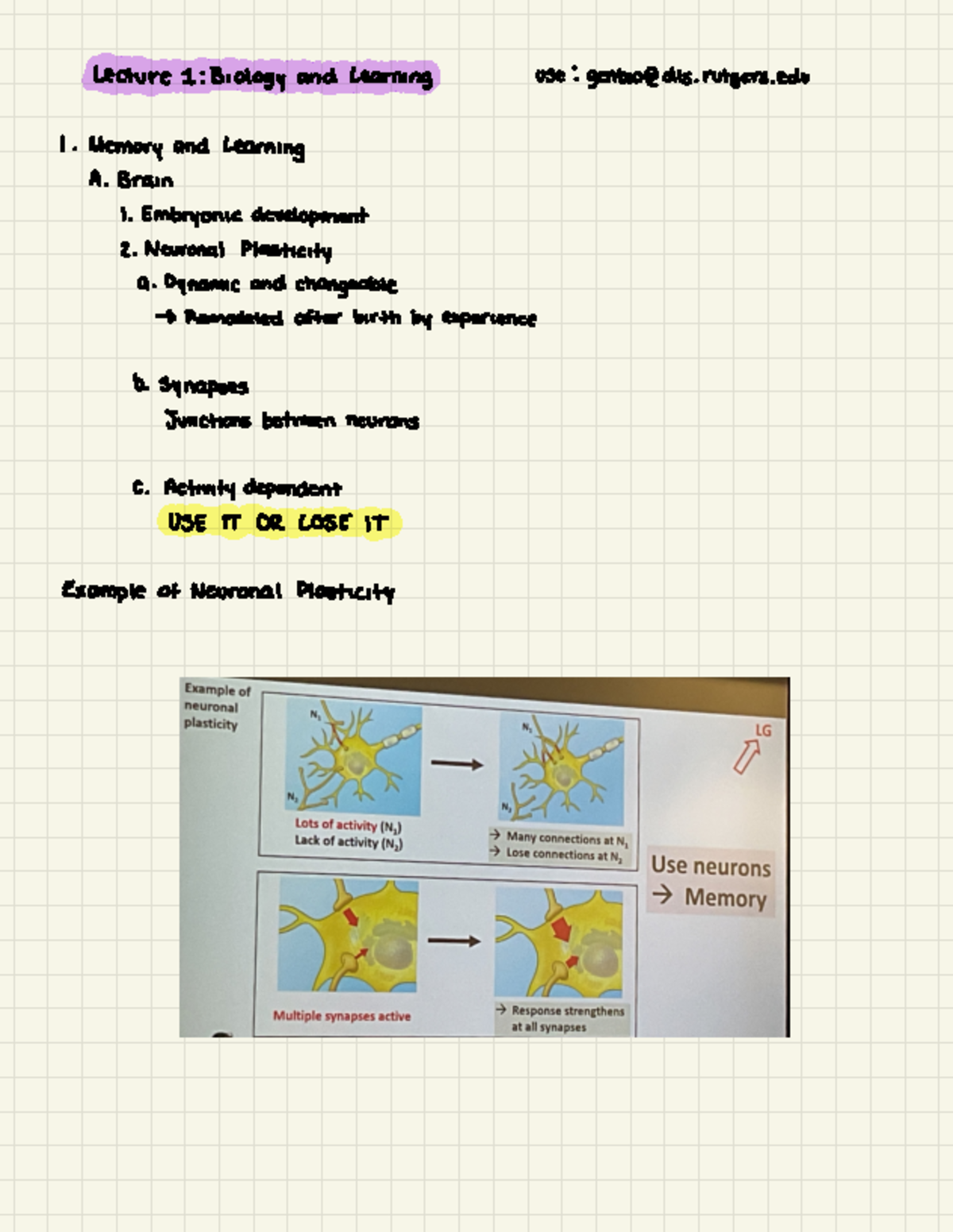 BIO 1 Lectures 1-3 - ####### Lecture 1 : Biology and Learning use : genbiod dis. rutgers. edu 1 ...