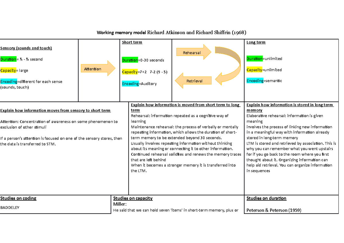 Multi store model worksheet - Working memory model Richard Atkinson and ...