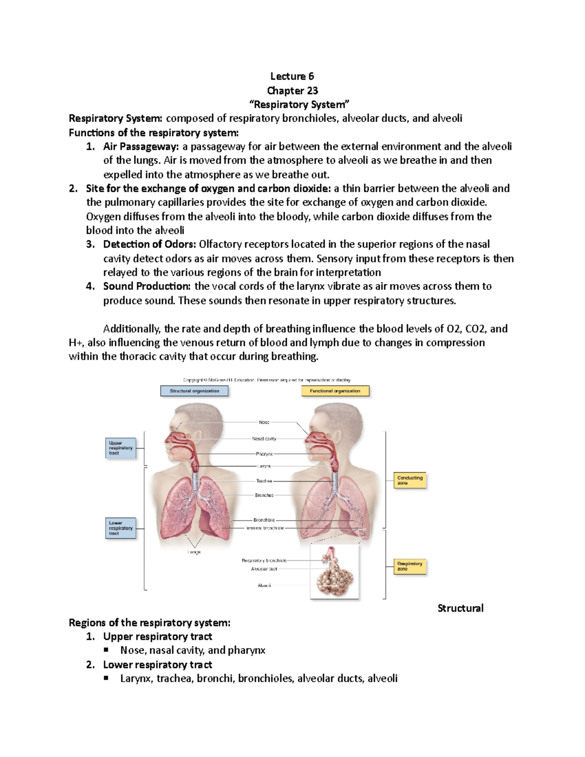 Bio110 Midterm 2 study notes - Lecture 6 Chapter 23 “Respiratory System ...