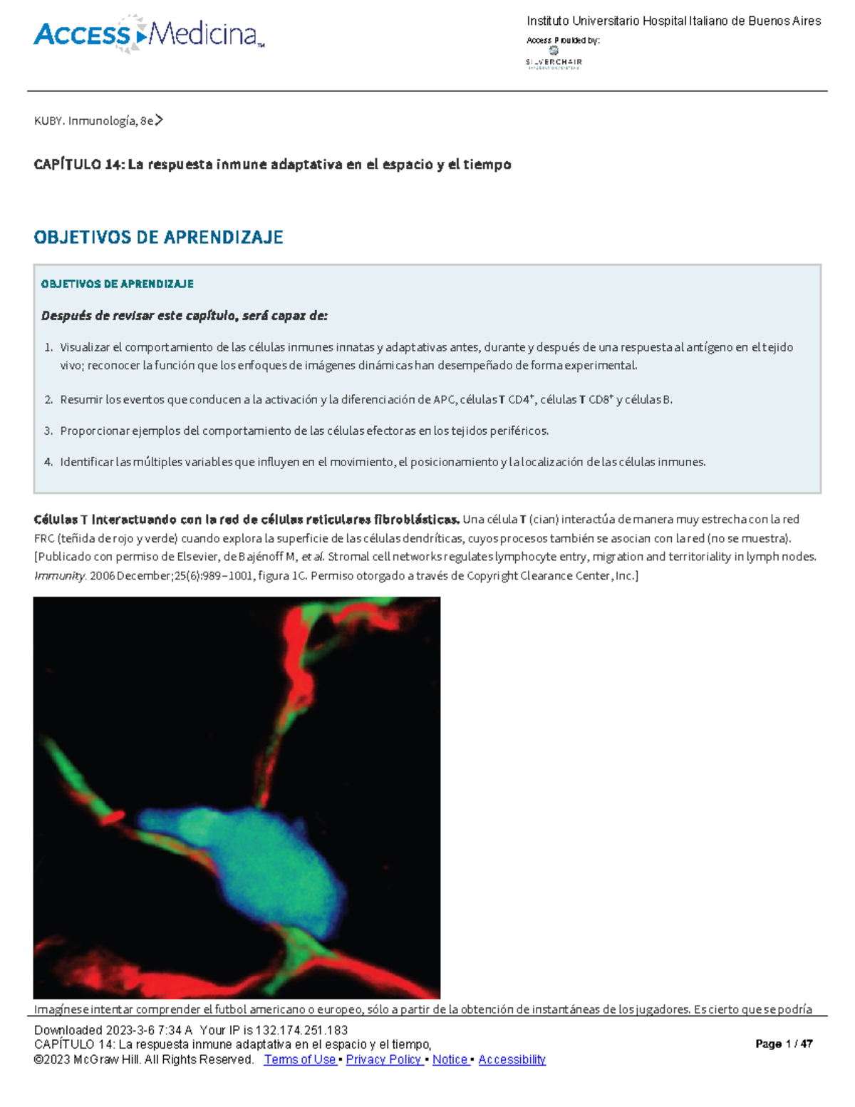 Capítulo 14 La respuesta inmune adaptativa en el espacio y el tiempo - KUBY. Inmunología, 8e ...
