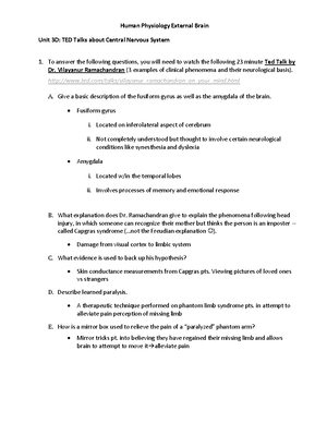 EB Unit 3E - external brain 3e - Warning: TT: undefined function: 32 Warning: TT: undefined ...