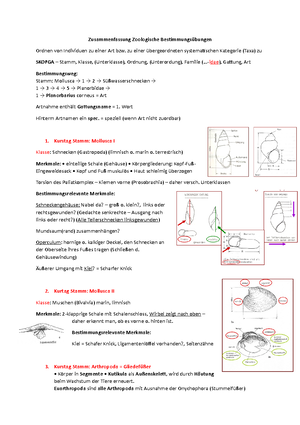 Zoologie Artenbestimmung - Annelida (Ringelwürmer) - wuchsförmige, meist segmentierte Cölomaten ...