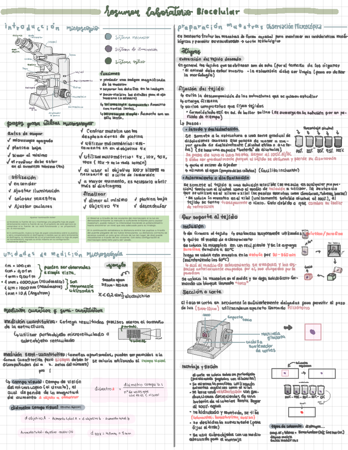 Resumen Laboratorio Biología Celular - Warning: Error during font loading: XMLHttpRequest is not ...
