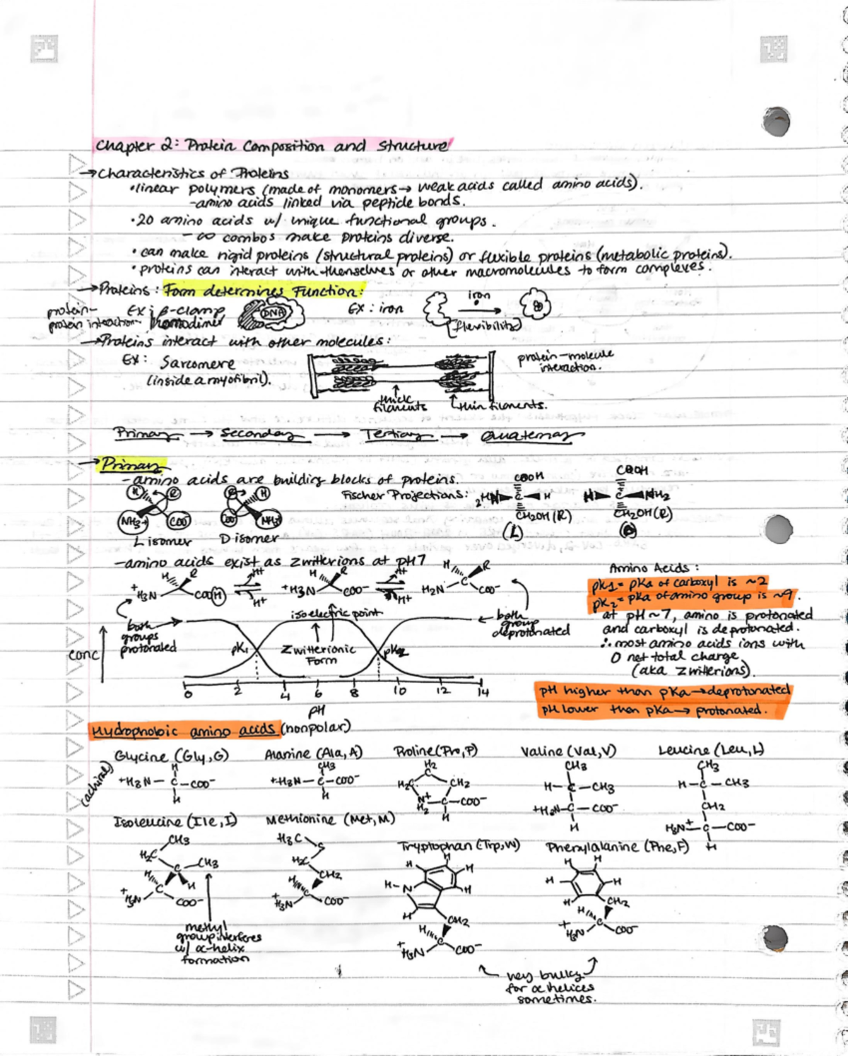 Lecture 2 Intro to Biochem - 120:360 - Studocu