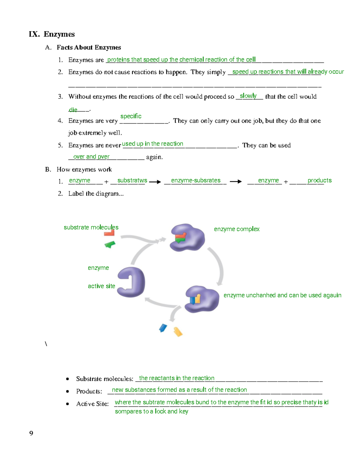 1 Chemistry of Biology Notes pgs 9-10 - 9 IX. Enzymes A. Facts About ...