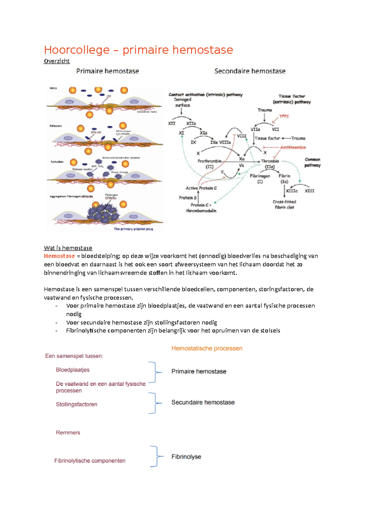Hoorcollege primaire hemostase - Hoorcollege – primaire hemostase ...
