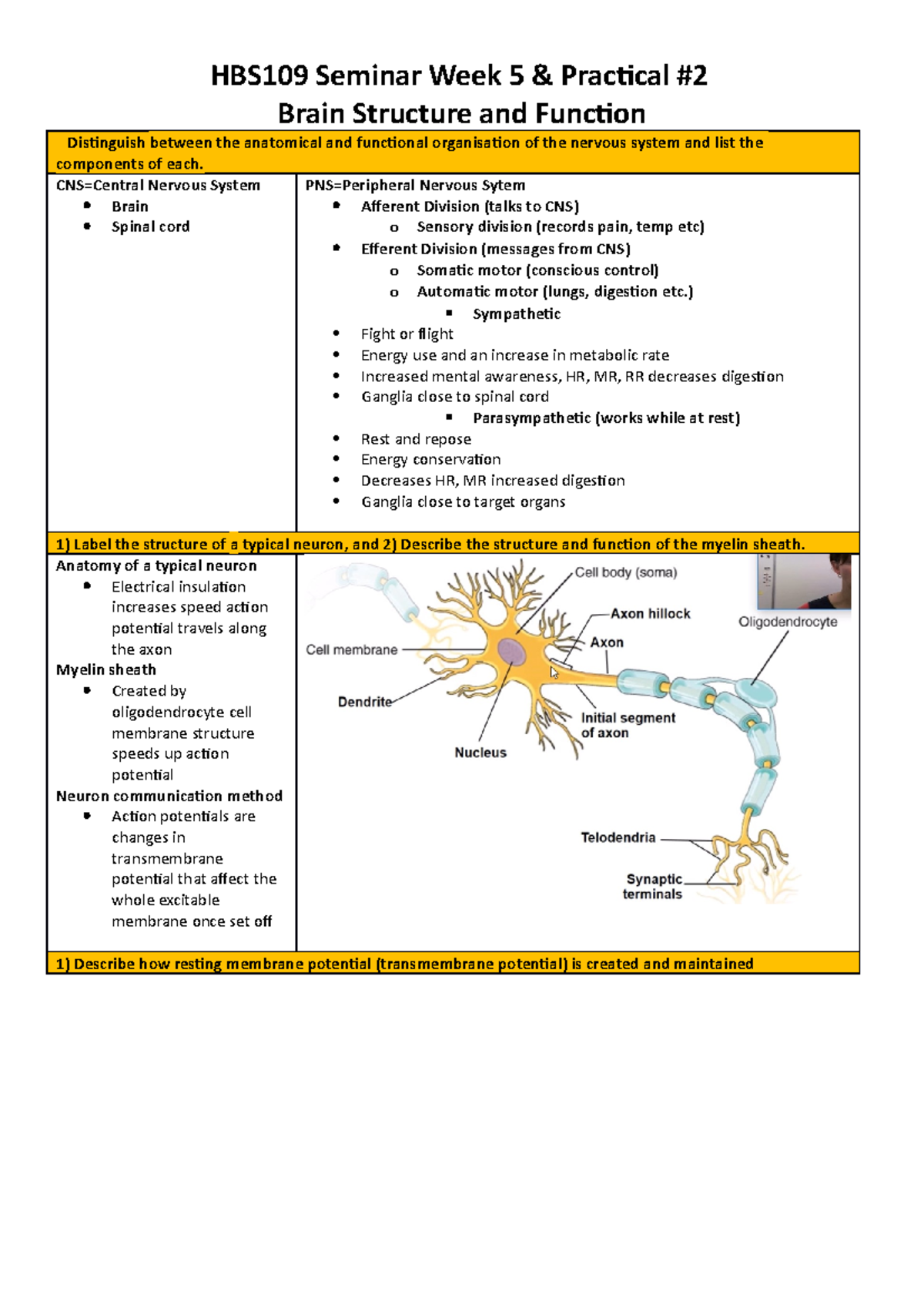 5 HBS109 week 5 and Prac 2 Brain Structure and Function - Brain ...