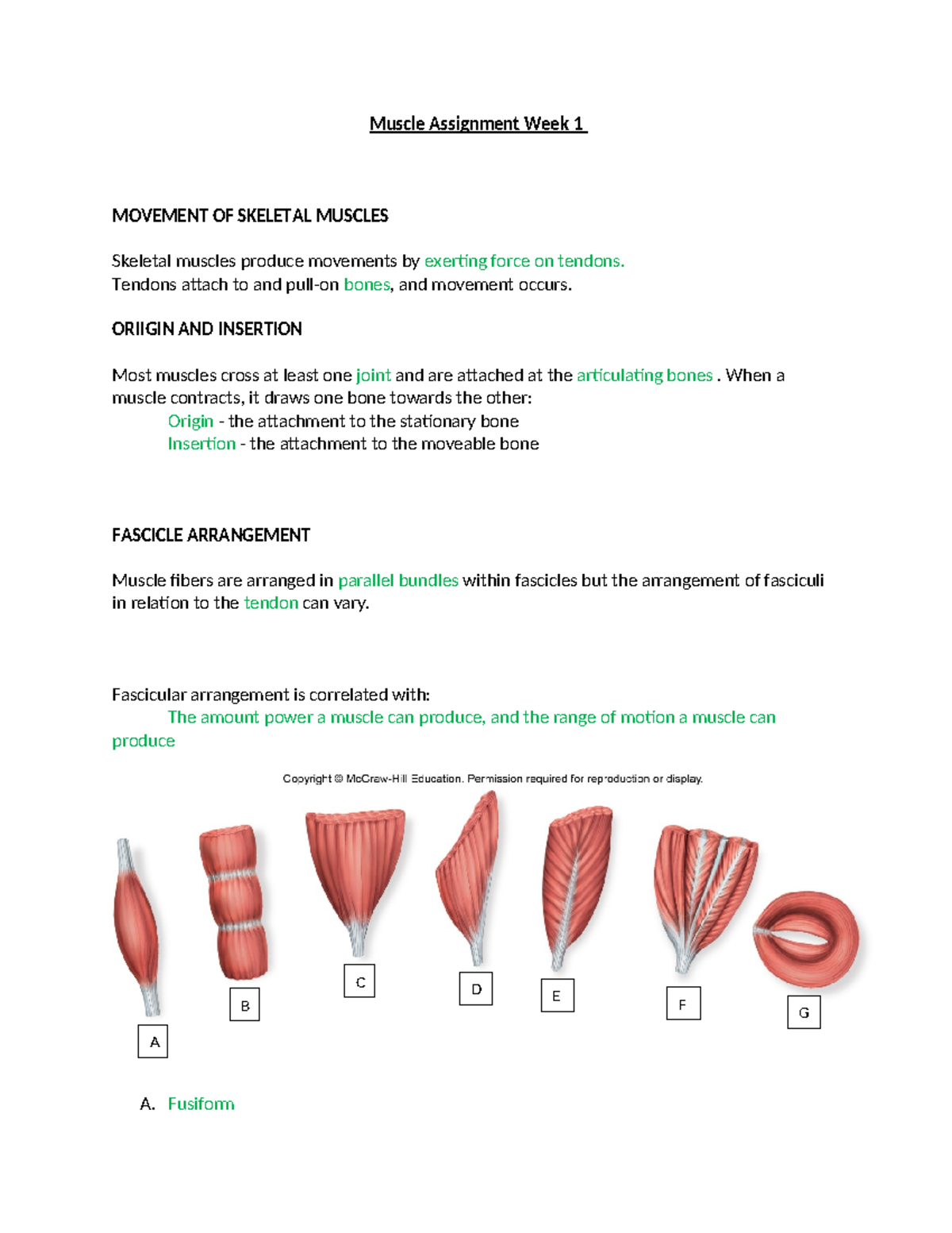 Week 1 Muscle Assignment - Muscle Assignment Week 1 MOVEMENT OF SKELETAL MUSCLES Skeletal ...
