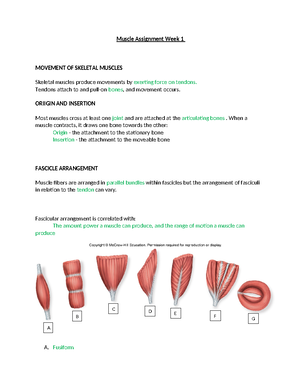 Final LABS BIOS251 Online Labs Week 7 Joints Lab - Name: India Dunbar ...