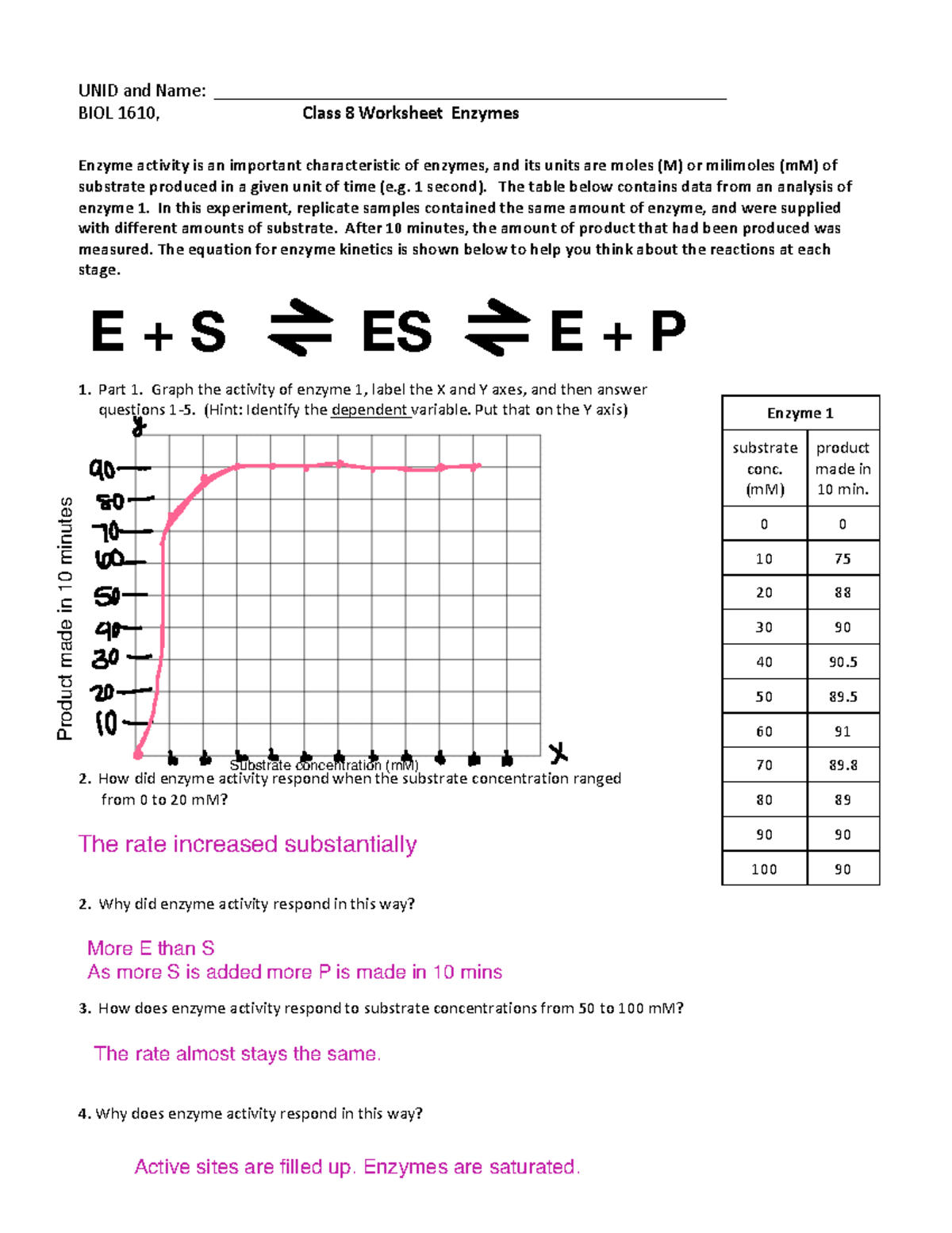 Worksheet 8 Enzymes - UNID and Name