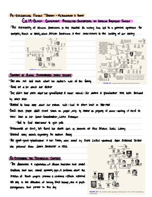 Mc Goldrick and Hardy Ch. 29 - RE - VISIONING FAMILY THERAPY ...