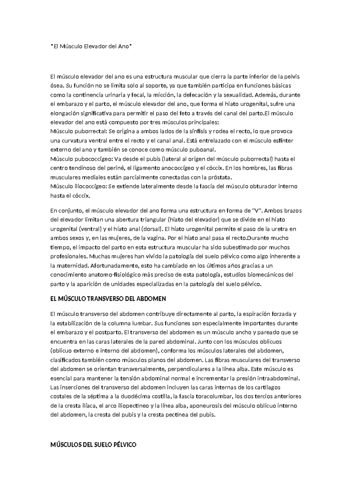 EL Músculo Elevador DEL ANO - El Músculo Elevador del Ano El músculo ...