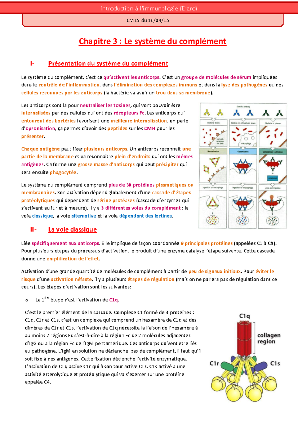 Chap 3 non fini-2 - Chapitre 3 : Le système du complément I- Présentation du système du ...