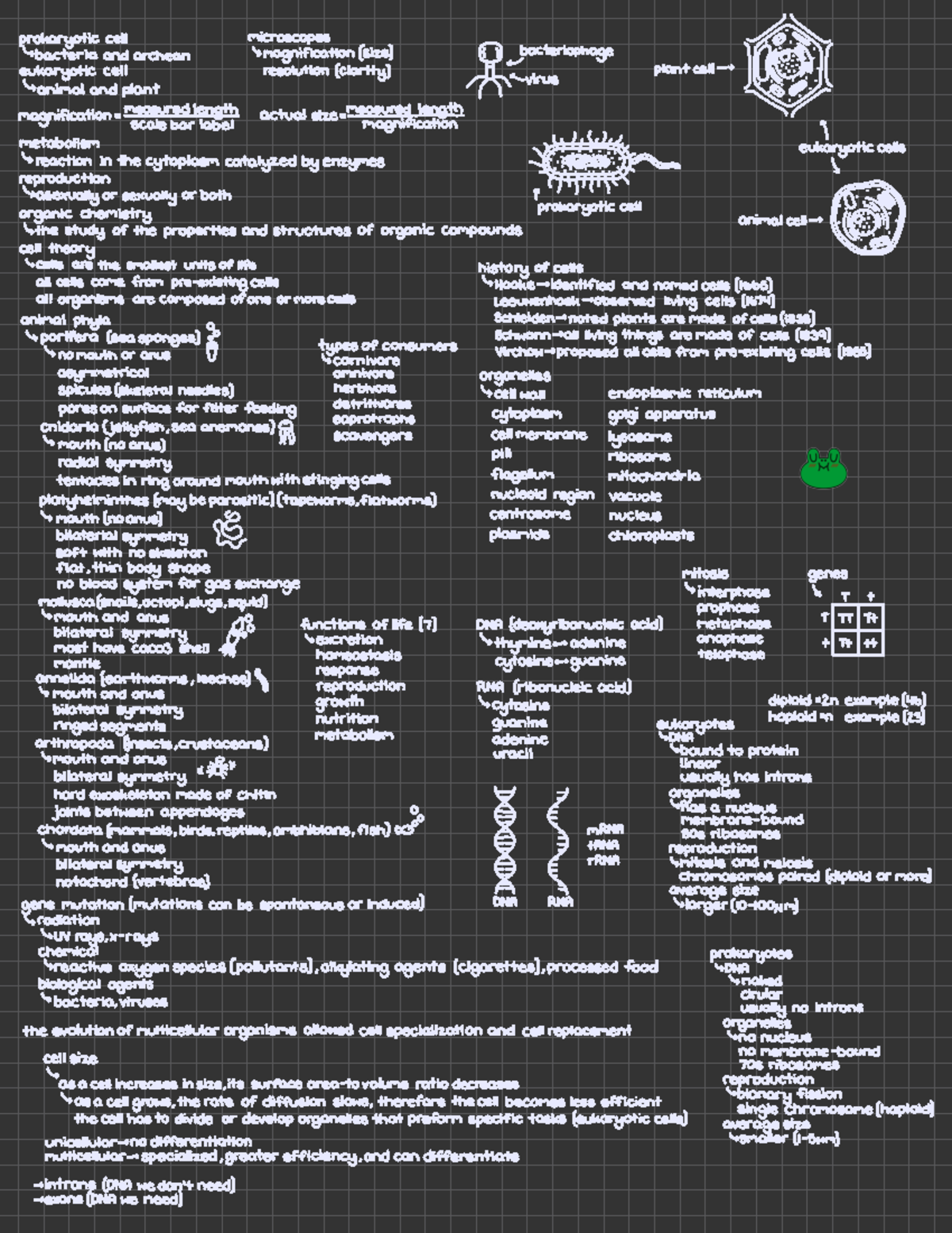 Biology Notes Page One - Studocu