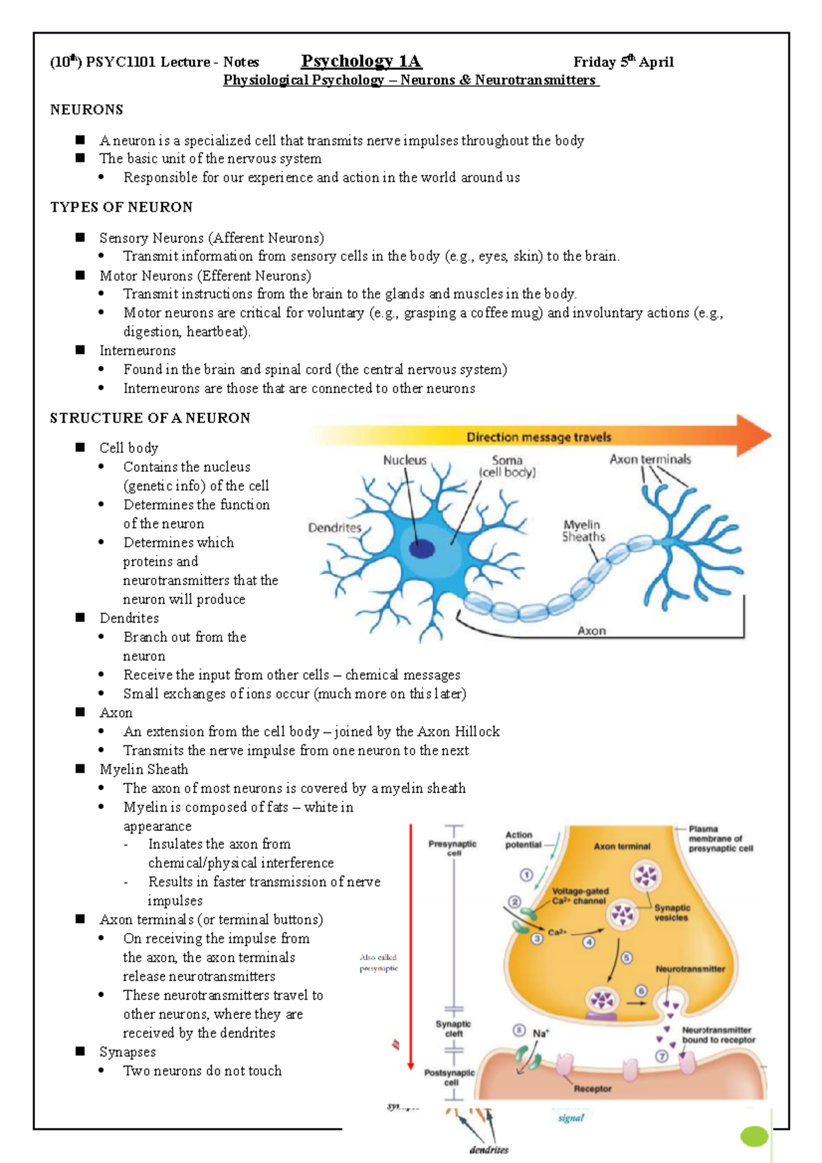 (10th) PSYC1101 Lecture - Notes - Physiological Psychology – Neurons ...