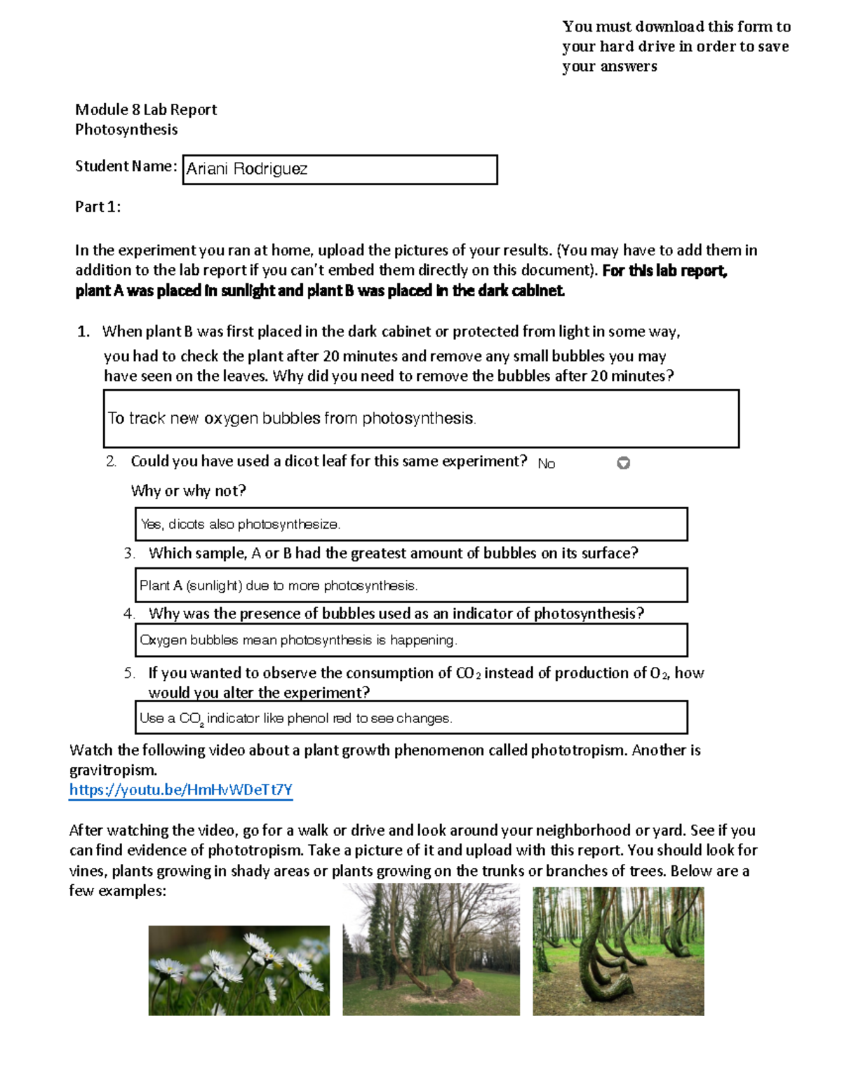 7labreport Completed - Module 8 Lab Report Photosynthesis Student Name ...