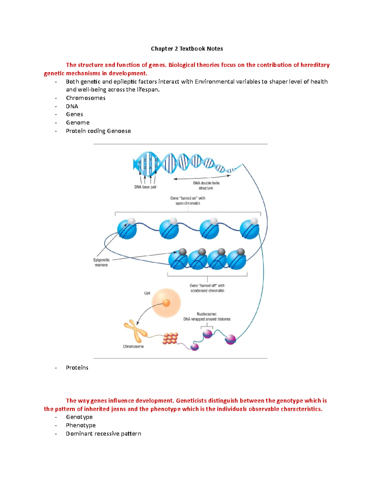 Chapter 2 Text Book notes - Chapter 2 Textbook Notes The structure and ...