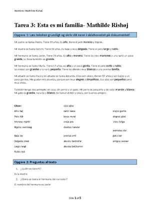 Portrætartikel, gruppearbejde - Portrætartikel – Thomas Korsgaard 1 ...