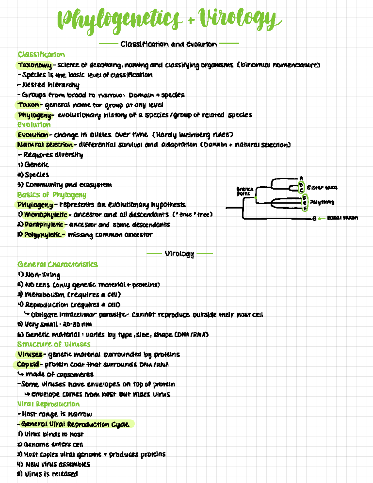 Gen bio 2 - lecture 1 notes with dr. beal - Phylogenetics - Virology ...