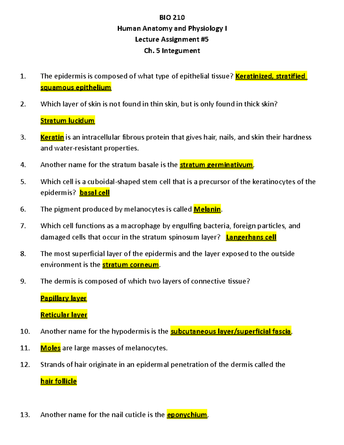 Lecture Assignment ^N5 Integument - BIO 210 Human Anatomy and Physiology I Lecture Assignment ...