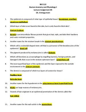 Heart - BIO 210 - Studocu