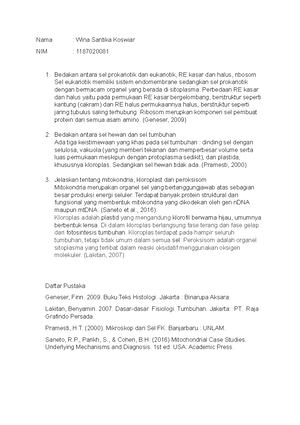 SEL - Apa Itu Sel? Sel adalah satuan unit struktural dan fungsional ...