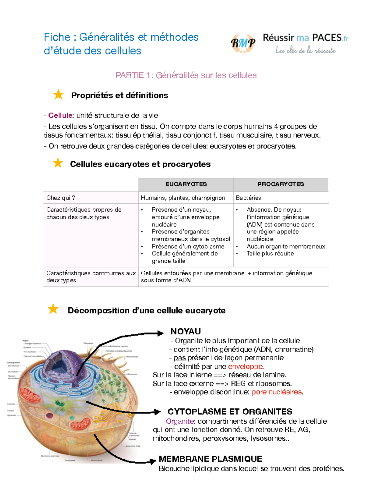 UE 2 Généralités et méthodes détudes - Fiche : et des cellules PARTIE 1 ...