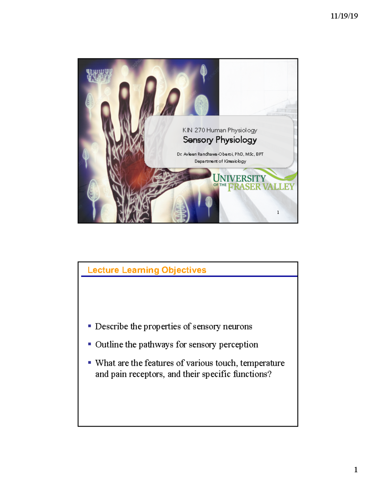 Sensory Physiology - Avleen - 1 KIN 270 Human Physiology Sensory ...