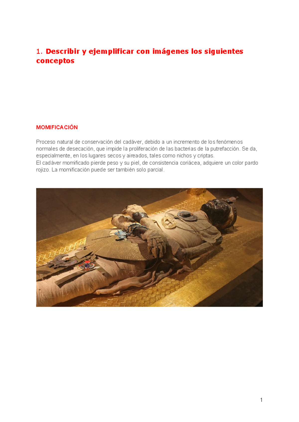 Medicina forense - 1. Describir y ejemplificar con imágenes los ...