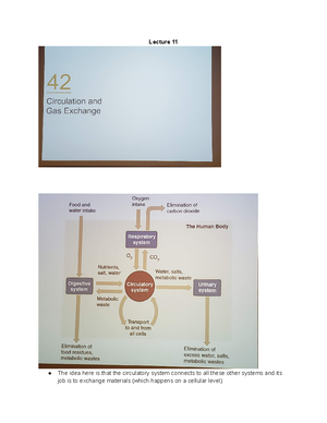 Bioinfo - Principles of Biology 102: Bioinformatics Lab Bioinformatics WORKSHEET: Part 2 Go to ...