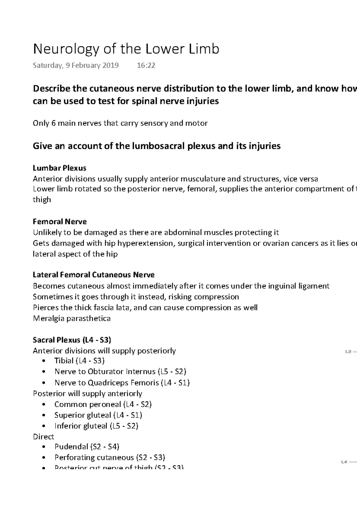 neurology-of-the-lower-limb-describe-the-cutaneous-nerve-distribution