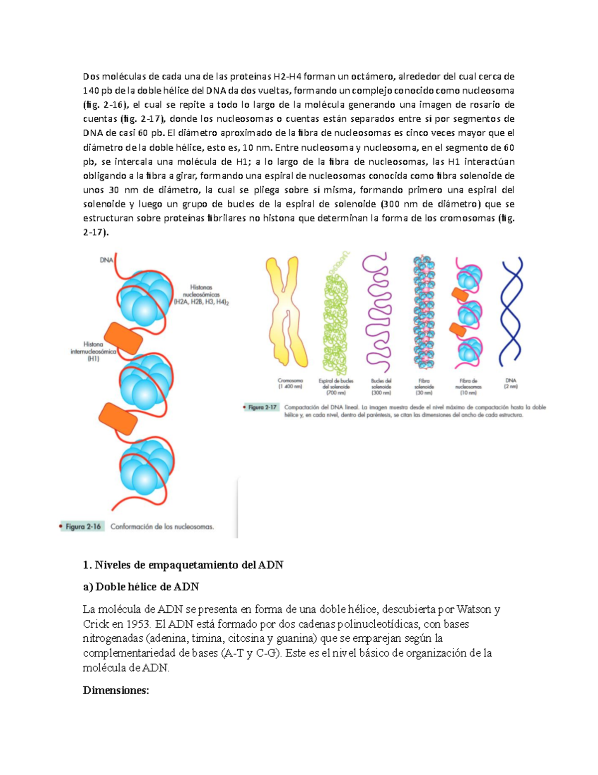 Empaquetamiento - Dos moléculas de cada una de las proteínas H2-H4 ...