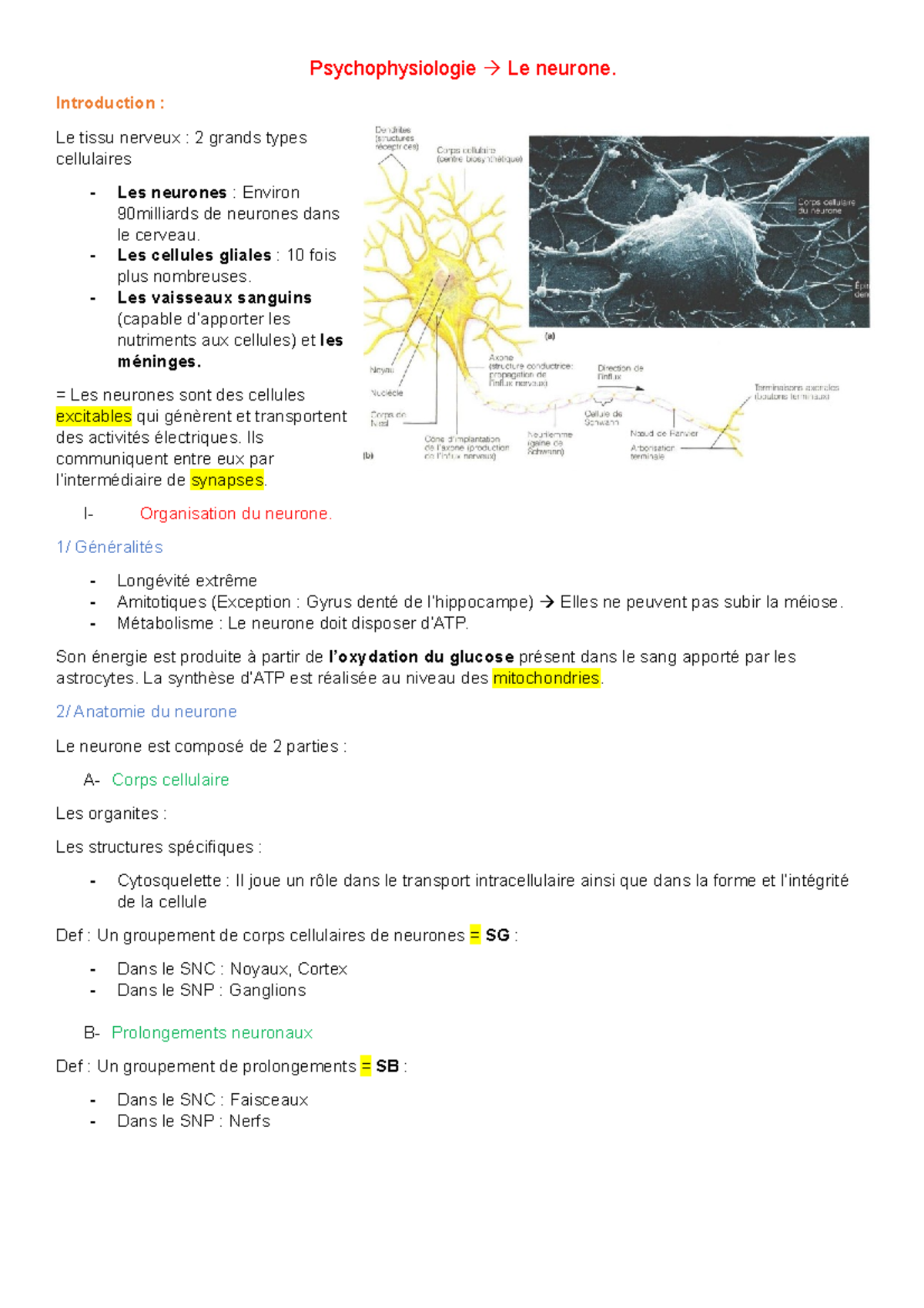 Psychophysiologie Le neurone - Psychophysiologie Le neurone. Introduction : Le tissu nerveux : 2 ...