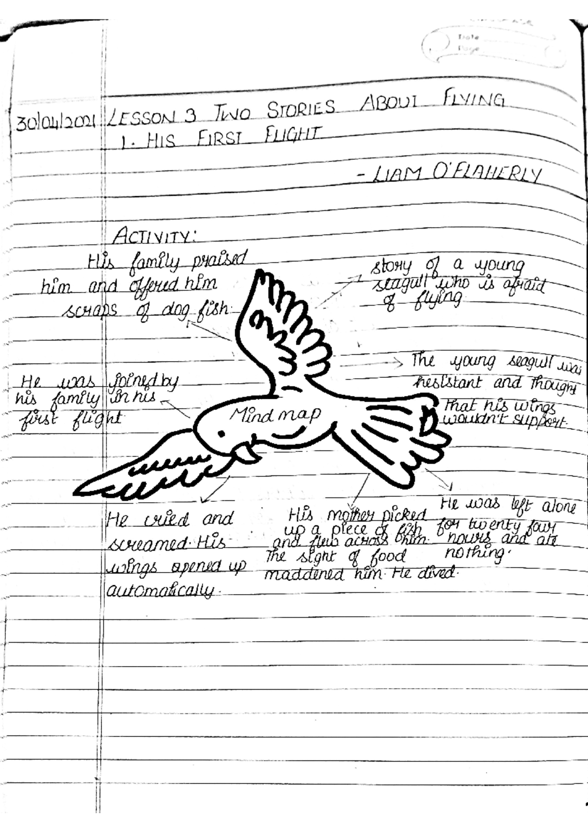 Thanuja Ls3 Two Stories About Flying His First Flight English