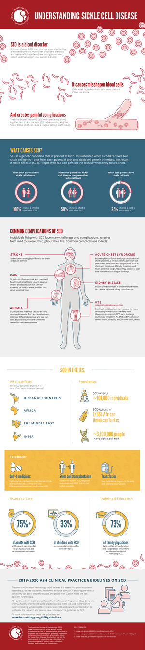 Hmole - H-MOLE - Predisposing Factors - Defects in egg - Abnormality in ...