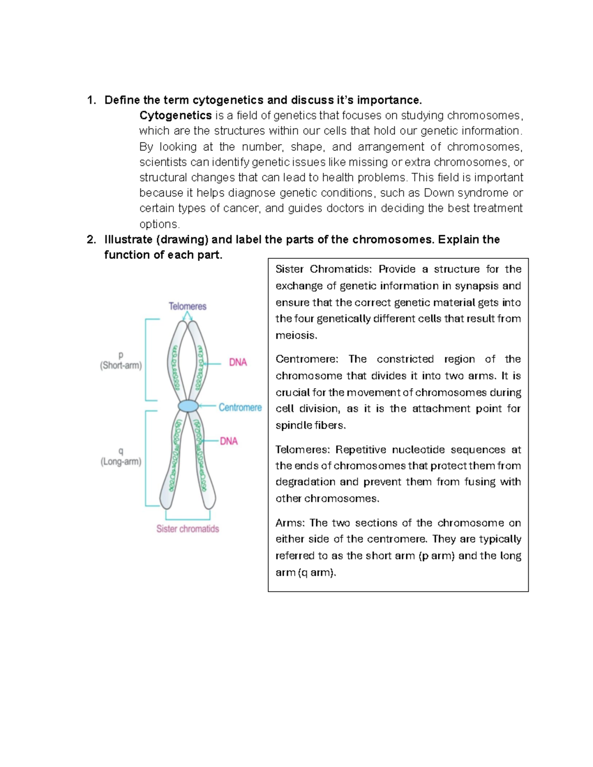CYTO311-asgnmnt-chromosome - Define the term cytogenetics and discuss ...