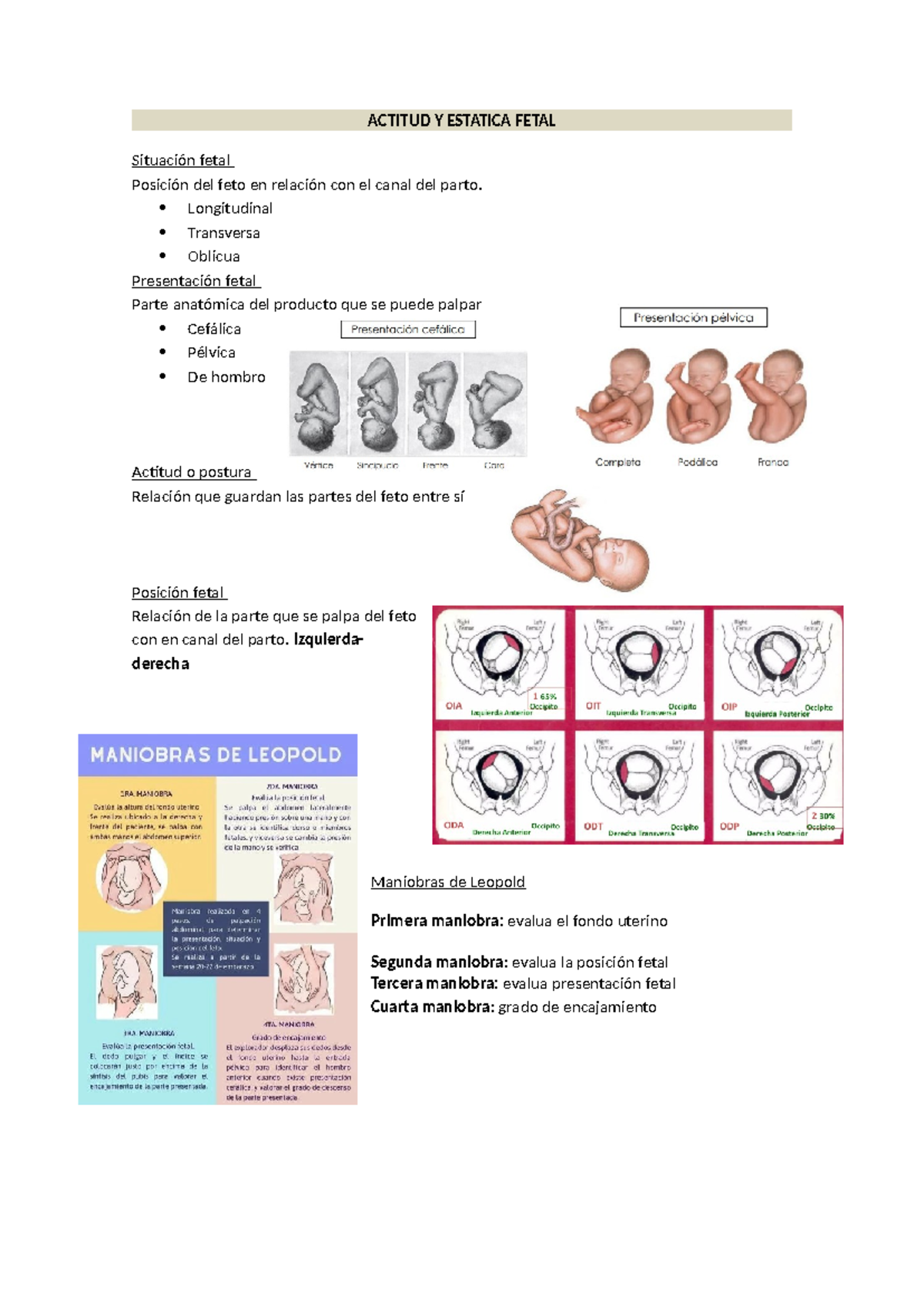 Trabajo DE Parto - ACTITUD Y ESTATICA FETAL Situación fetal Posición ...