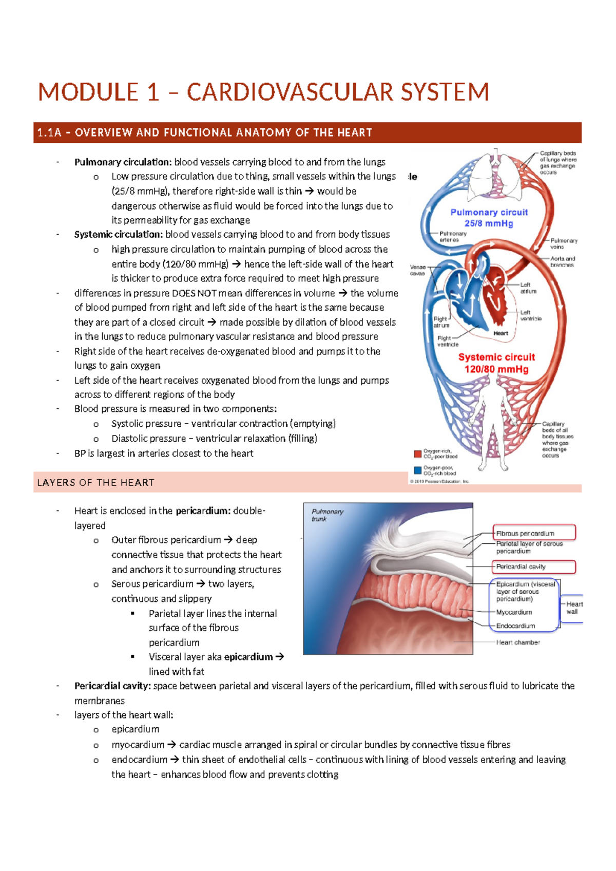 APSII course notes - MODULE 1 – CARDIOVASCULAR SYSTEM 1 – OVERVIEW AND ...