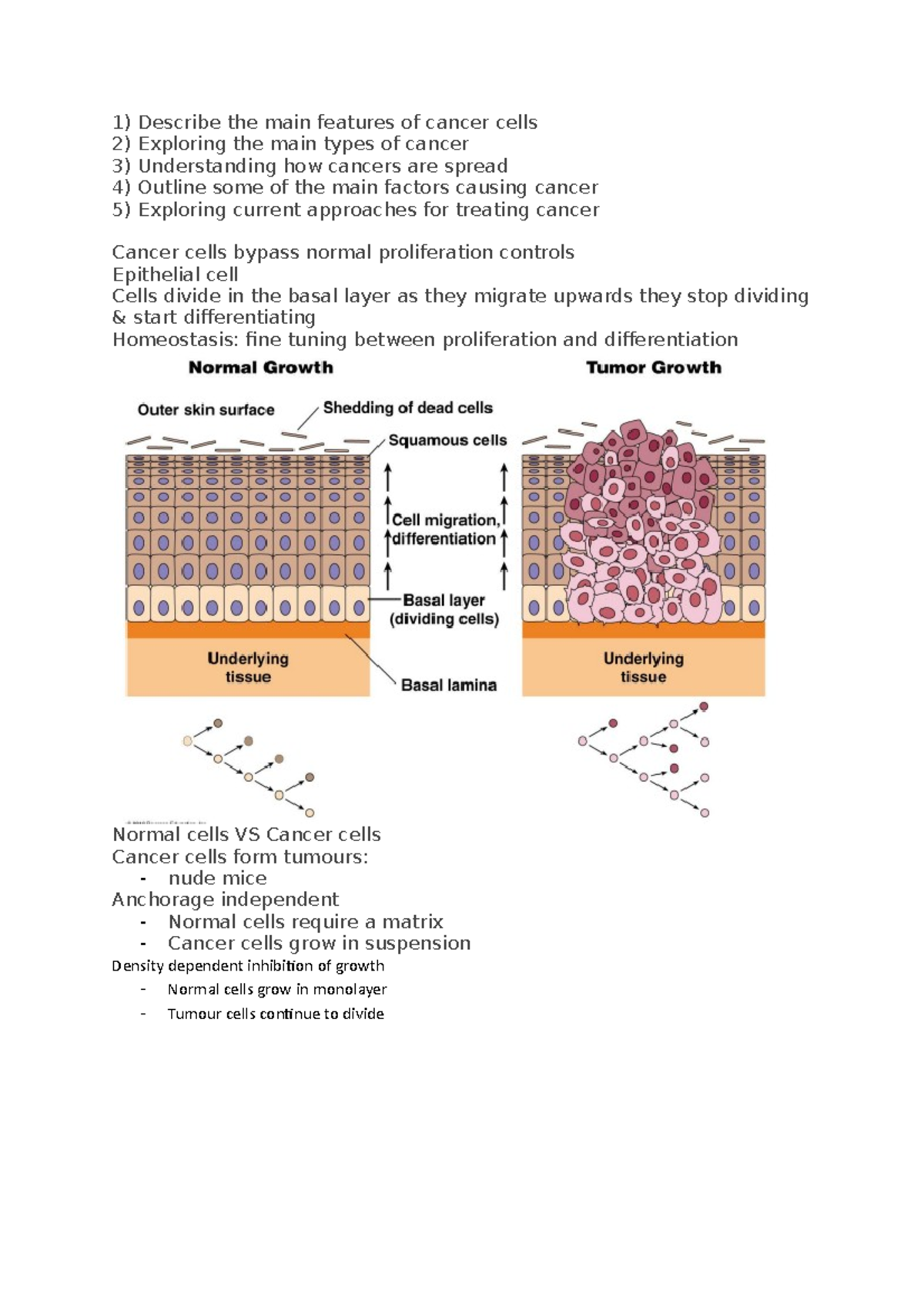 Week 11 cancer - Describe the main features of cancer cells Exploring ...