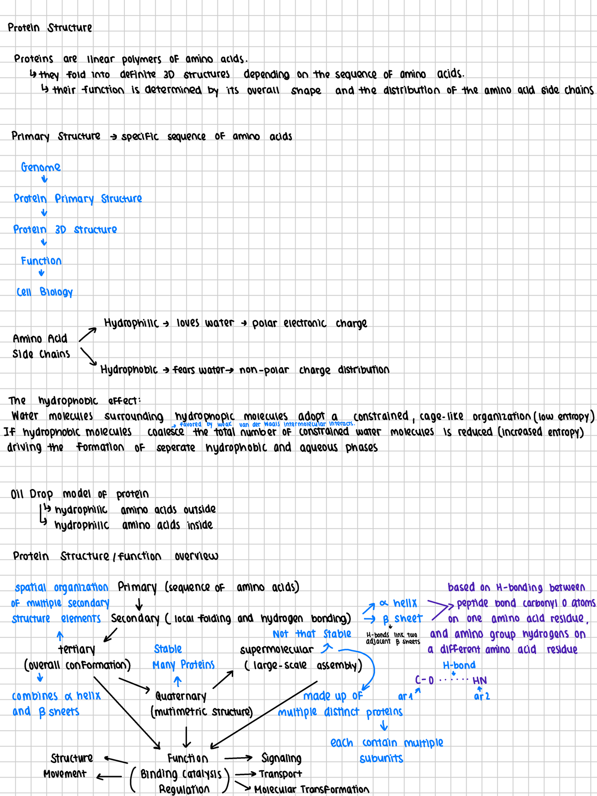 Protein Structure Notes Protein Structure Proteins Are Linear