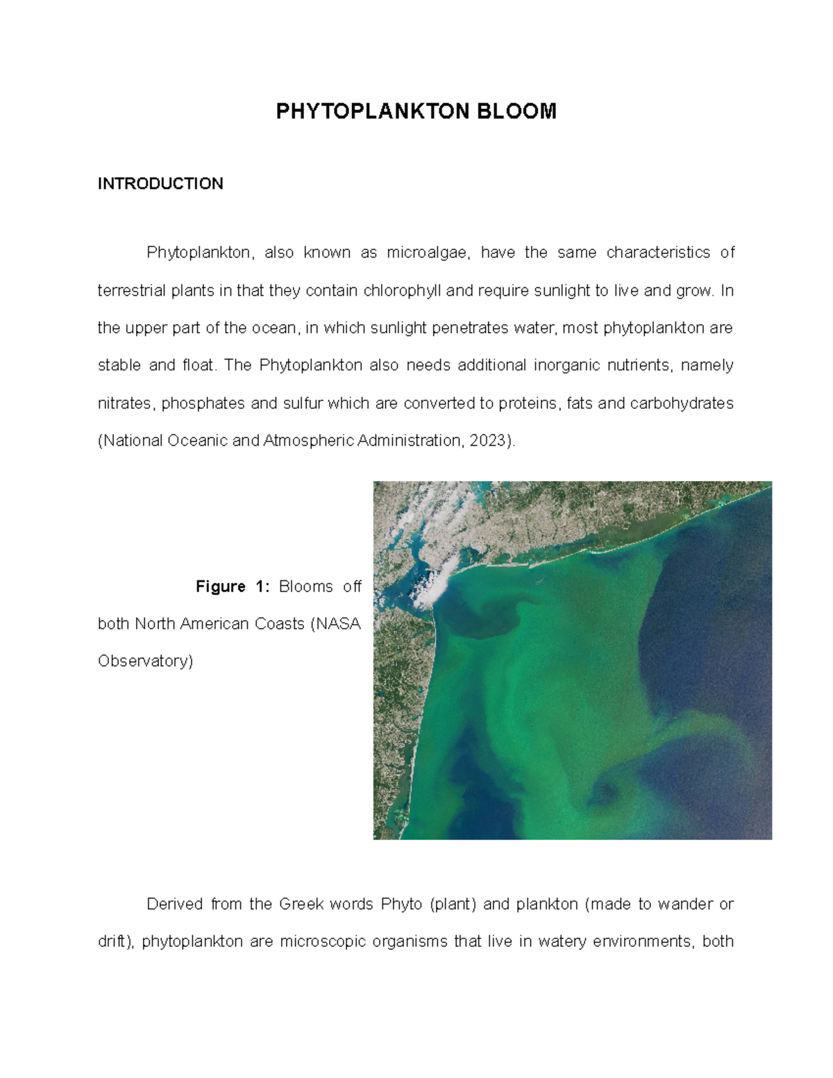 Pythoplankton Bloom - lIBRARY RESEARCH - PHYTOPLANKTON BLOOM ...