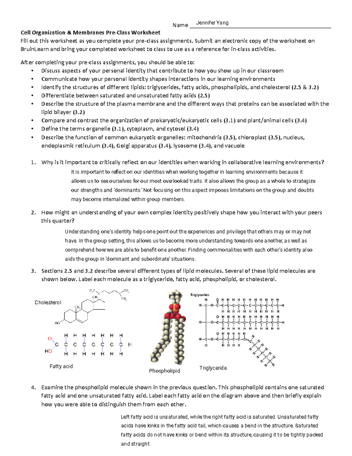 Kami Export - Week 2a Identity, Cells & Membranes v2 - Name - Studocu