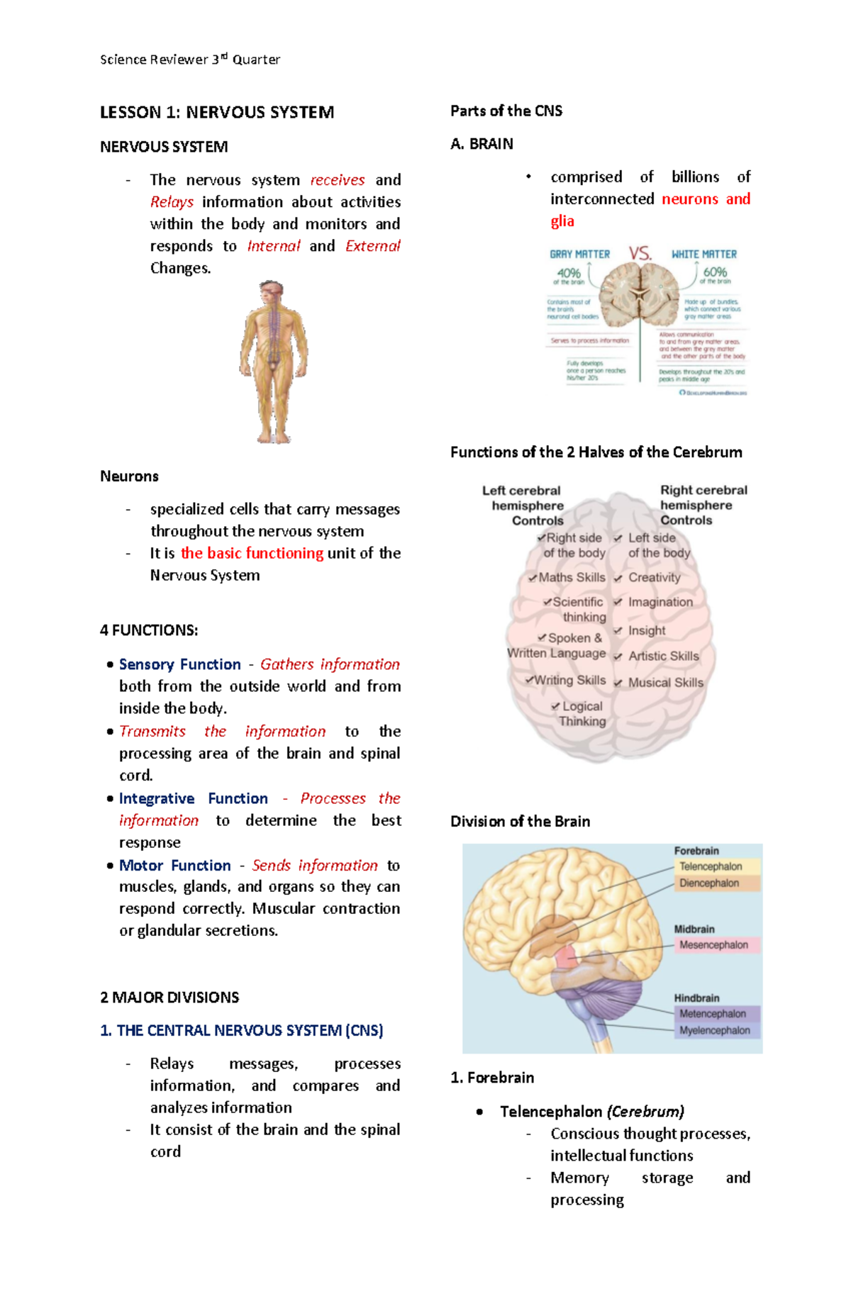 Biology 10 reviewer - LESSON 1: NERVOUS SYSTEM NERVOUS SYSTEM The ...