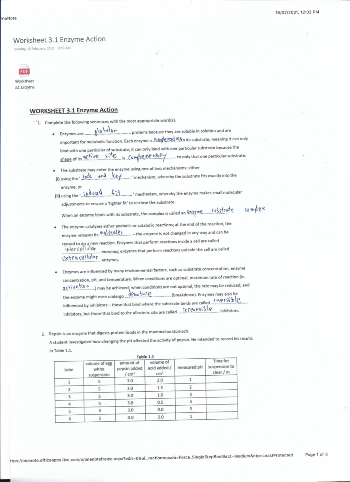 Emzymes - Biology on enzymes - Biology 1 - Studocu
