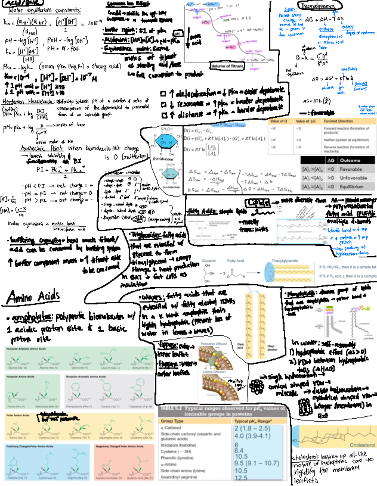 Equation Sheet - Hjhgkhgkhbu - BaseM - Common ion Effect ...